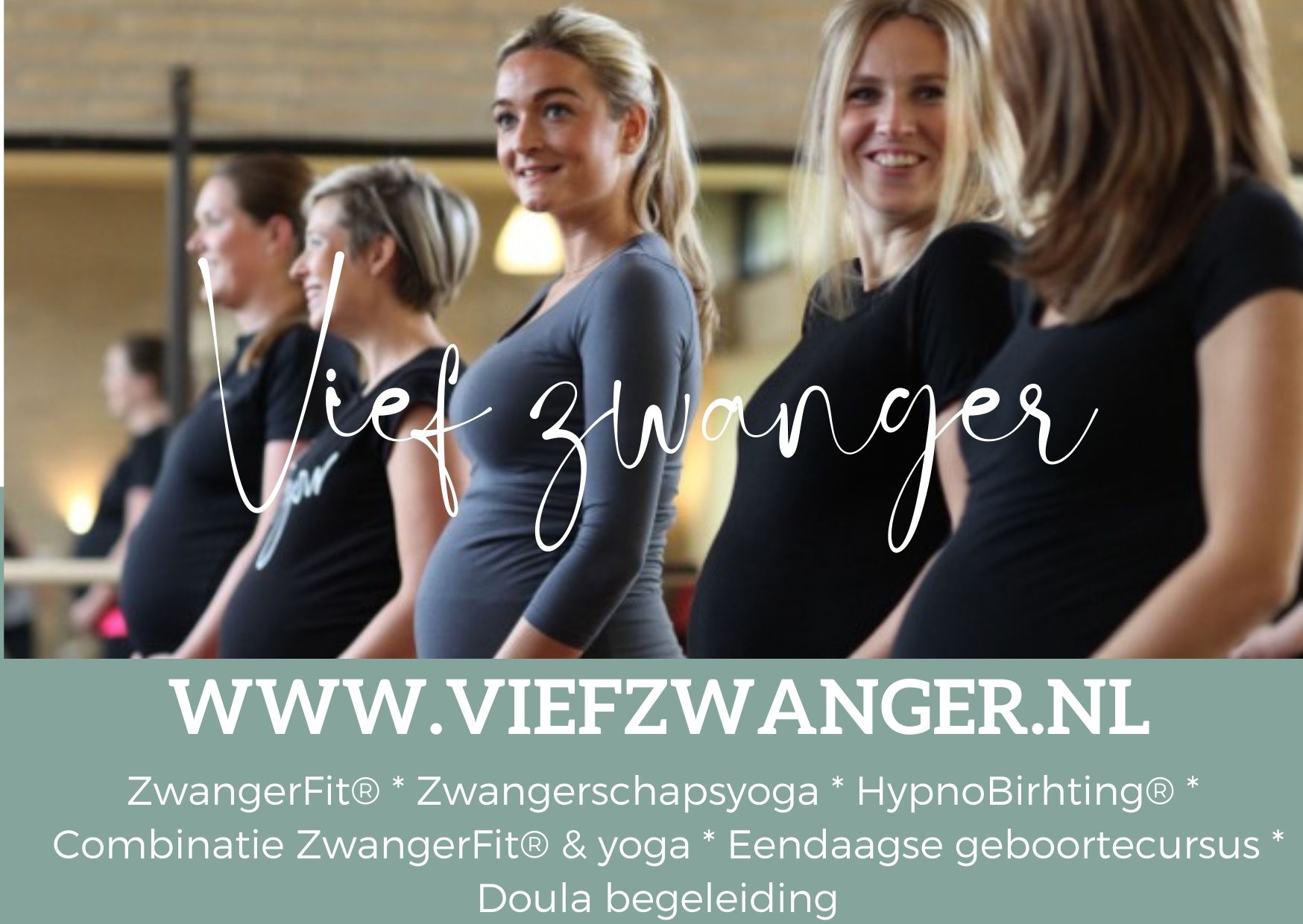 Vief Zwanger - PowerMama